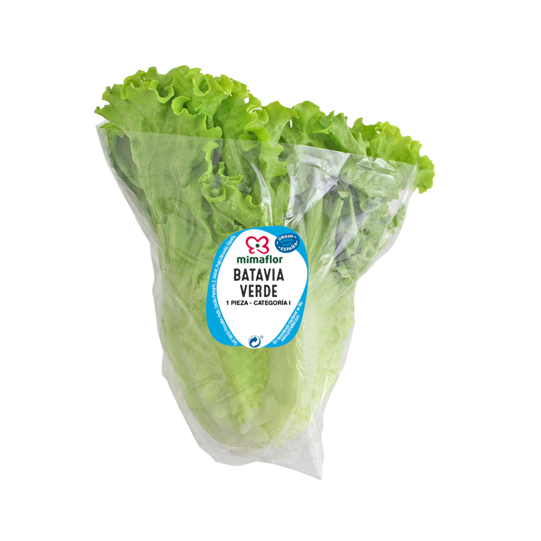 BATAVIA VERDE | Sabores Almería