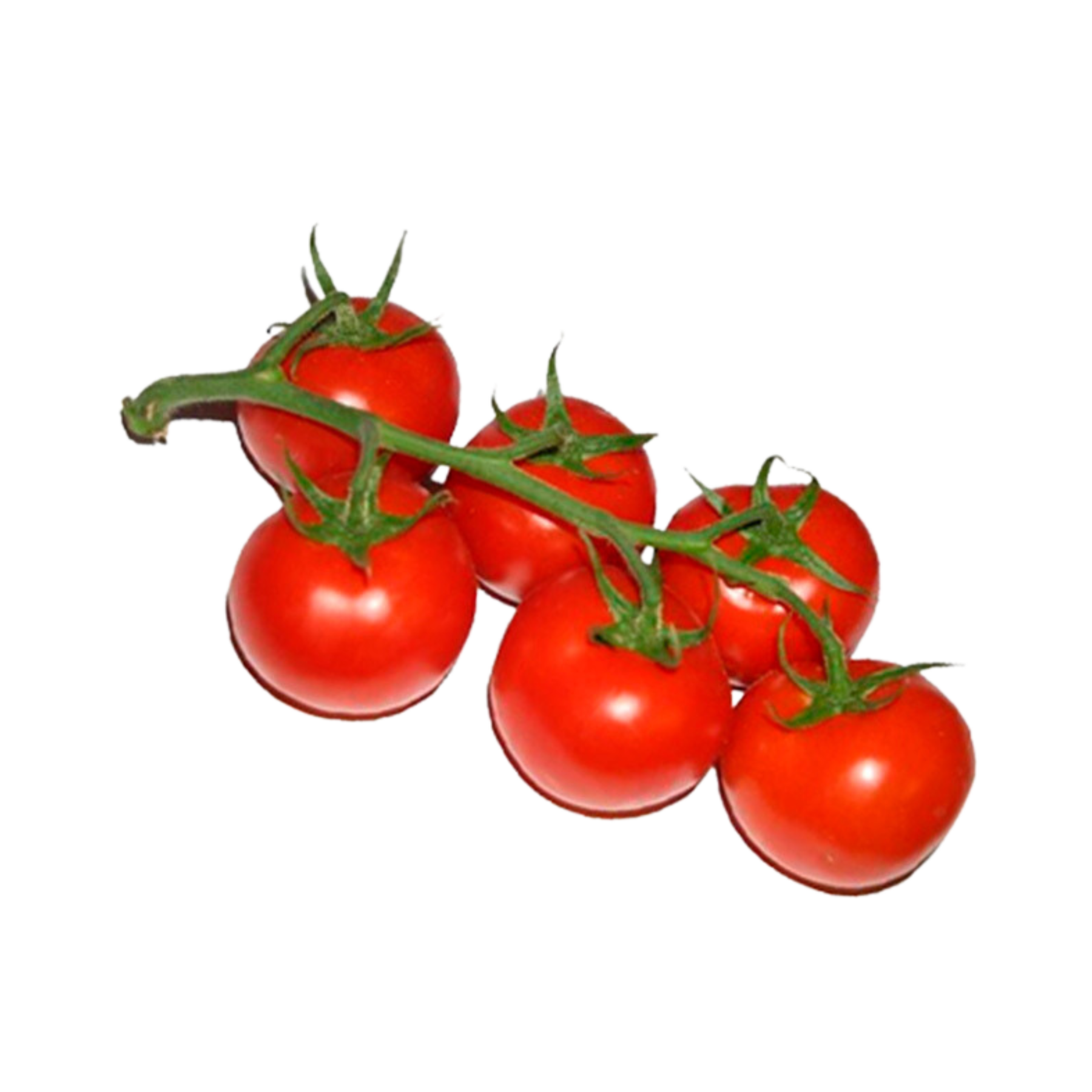 TOMATE COCKTAIL RAMA | Sabores Almería