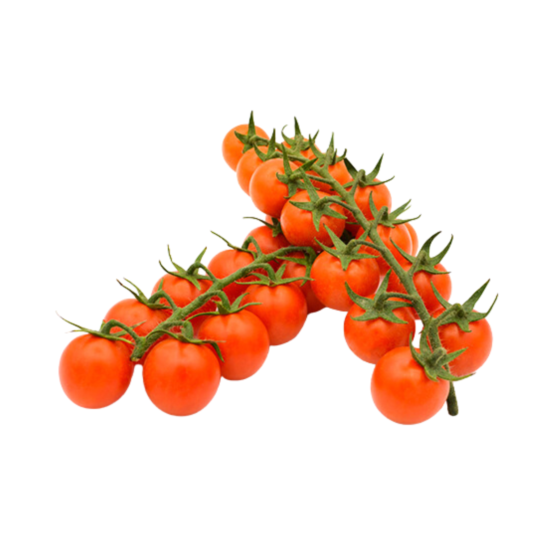 TOMATE CHERRY RAMA | Sabores Almería