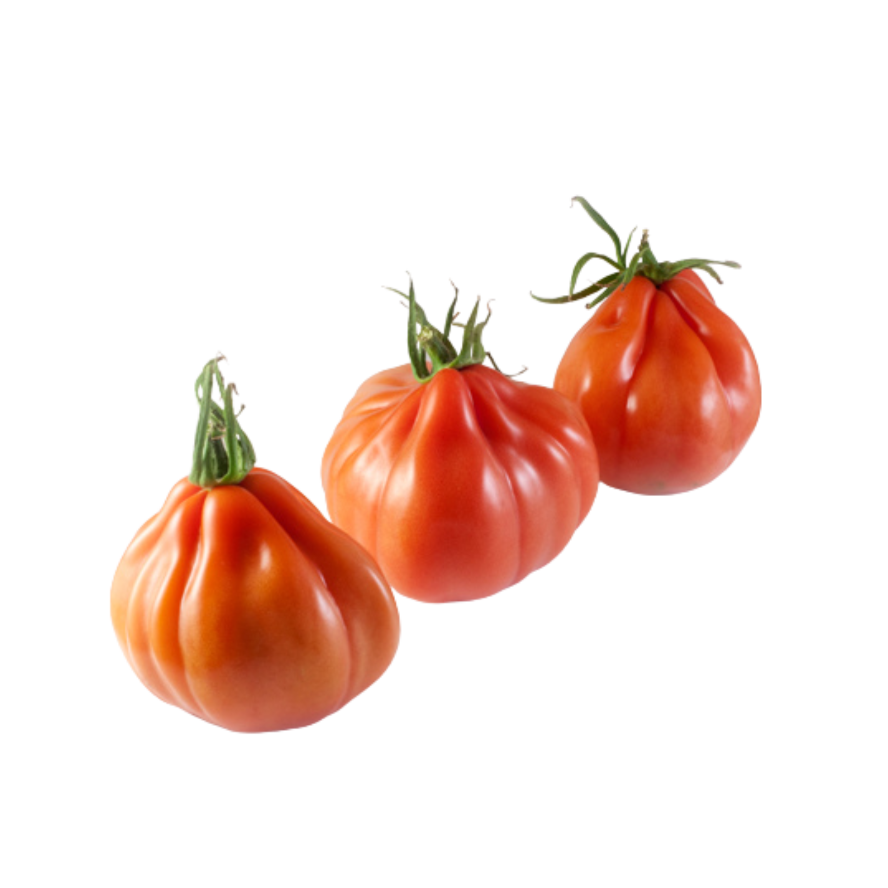 TOMATE CORAZON DE BUEY | Sabores Almería