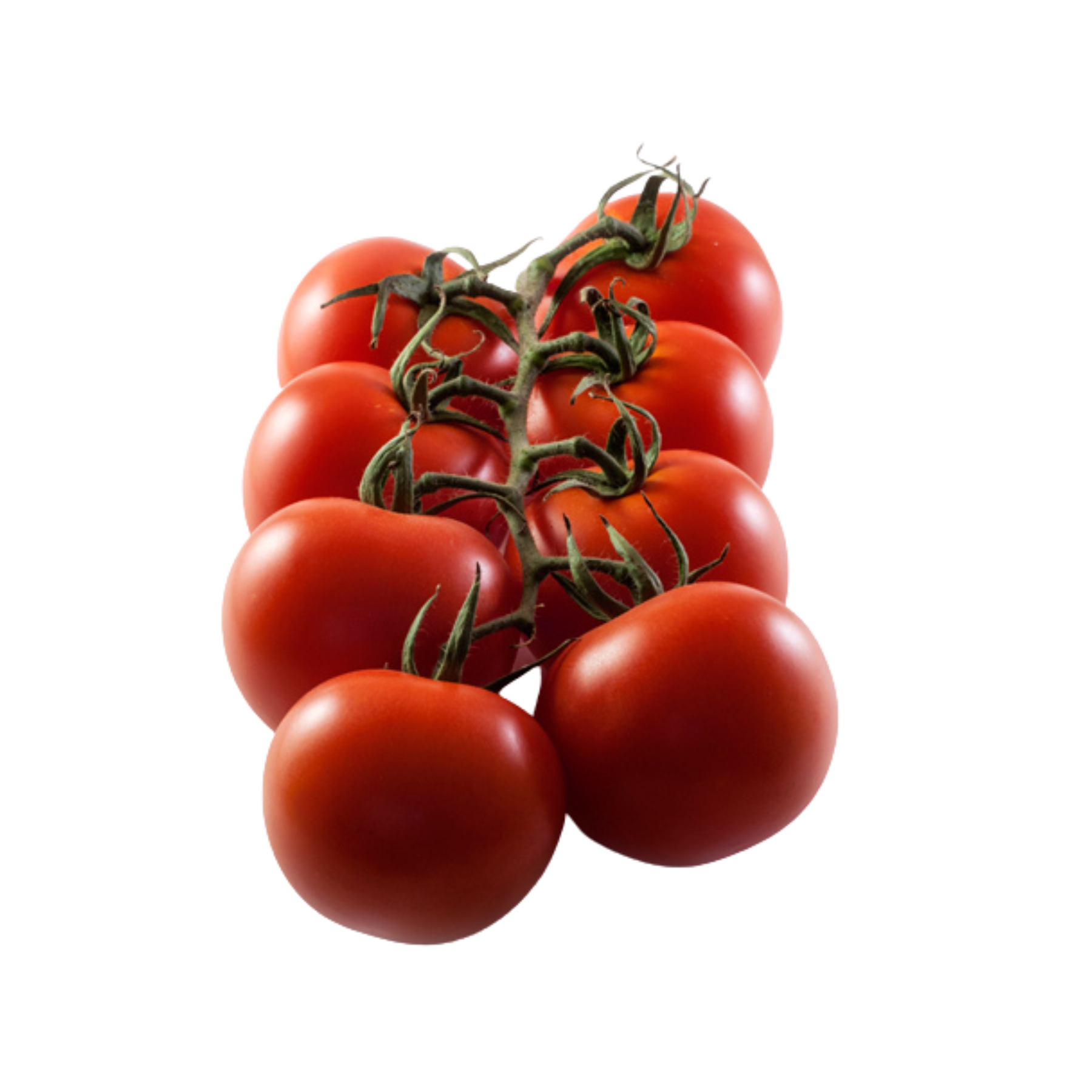 TOMATE RAMA | Sabores Almería