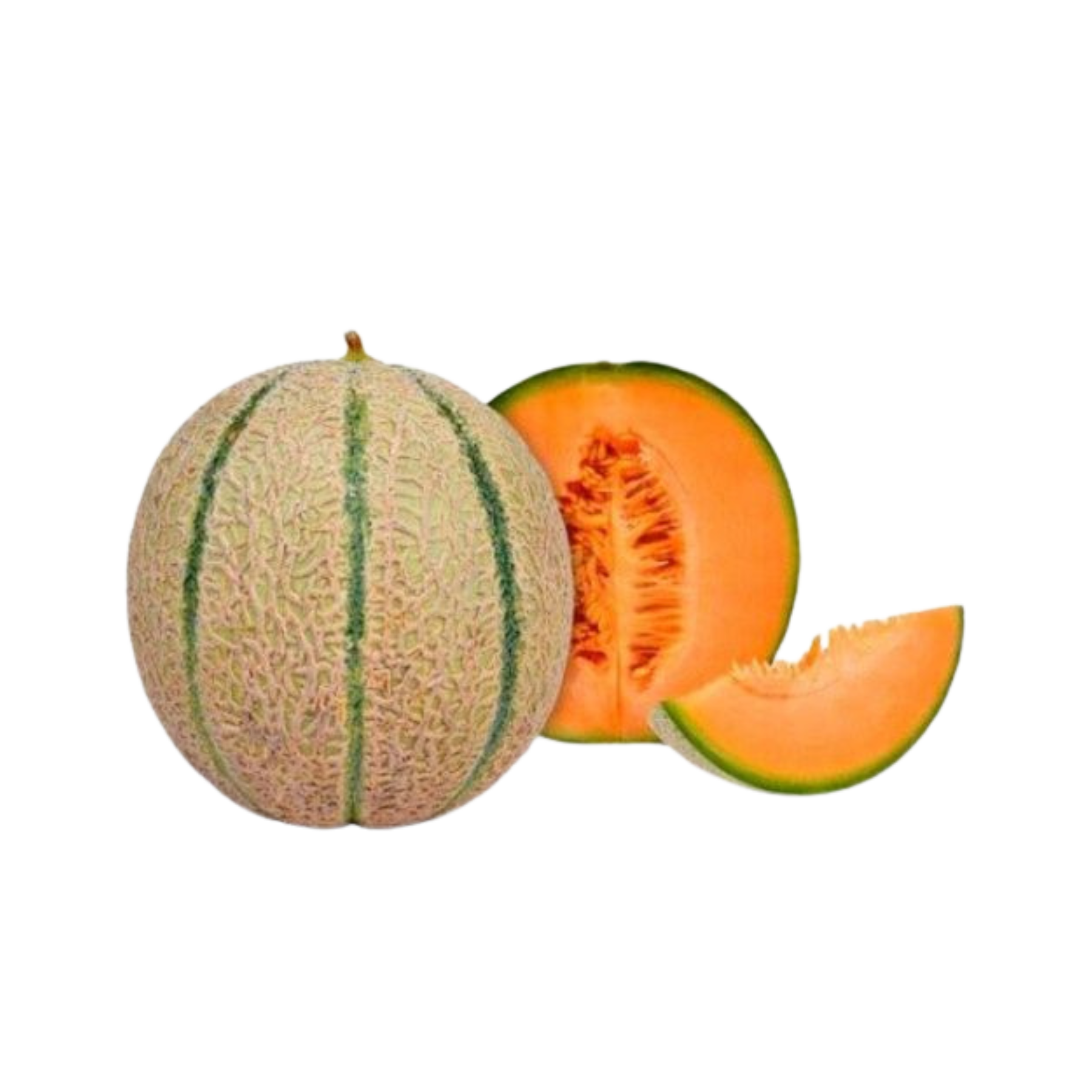 MELON CANTALOUP | Sabores Almería